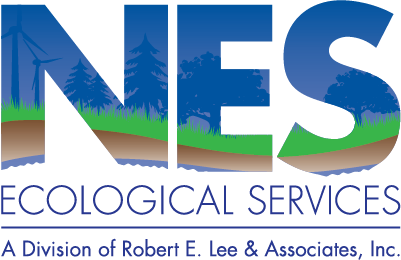 Home - Robert E Lee & Associates | REL